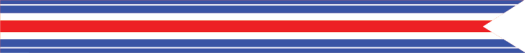 army Valorous Unit Award military Ribbon