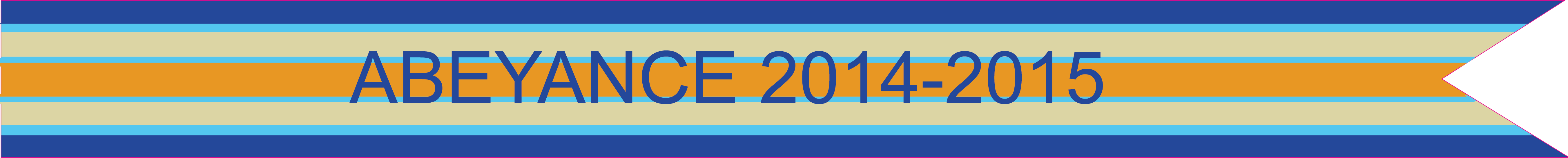 US Army,Inherent Resolve Campaign Streamers