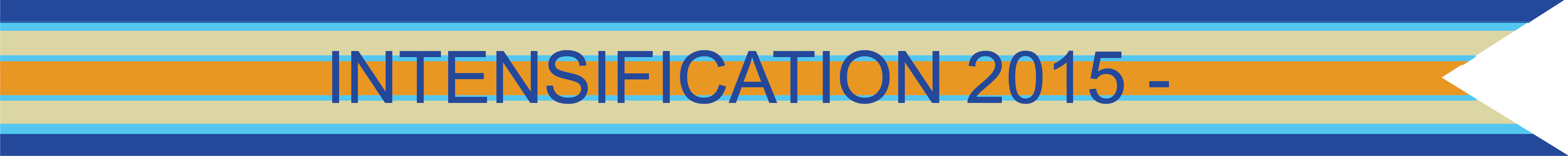 US Army,Inherent Resolve Campaign Streamers