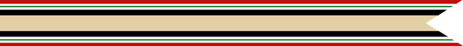 US Army,Iraq Campaign Streamers