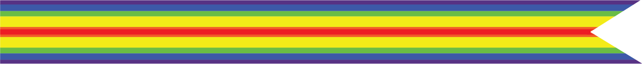 US Army,World War 1 Campaign Streamers