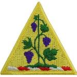 National Guard Military Ribbons