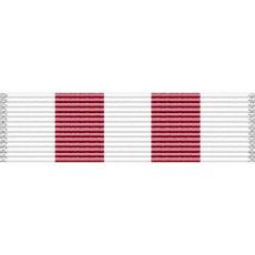 Alaska National Guard Military Ribbons
