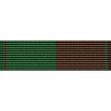 Hawaii National Guard Military Ribbons