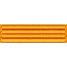 Oregon National Guard Military Ribbons