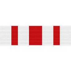 Puerto Rico National Guard Military Ribbons