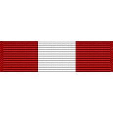 Puerto Rico National Guard Military Ribbons