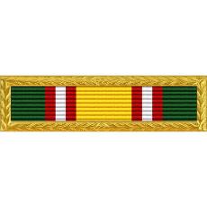 Tennessee National Guard Military Ribbons