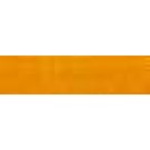 Michigan National Guard Military Ribbons