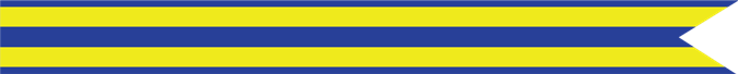 US Navy,U.S. Navy Expeditionary Campaign Streamer