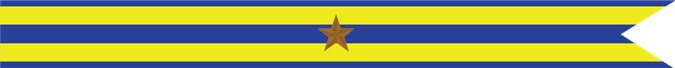US Navy,U.S. Navy Expeditionary Campaign Streamer