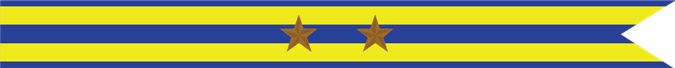 US Navy,U.S. Navy Expeditionary Campaign Streamer