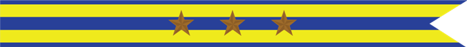 US Navy,U.S. Navy Expeditionary Campaign Streamer