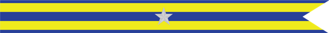 US Navy,U.S. Navy Expeditionary Campaign Streamer