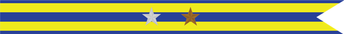 US Navy,U.S. Navy Expeditionary Campaign Streamer