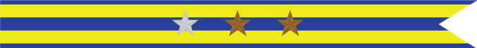 US Navy,U.S. Navy Expeditionary Campaign Streamer
